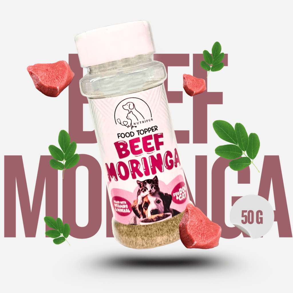 FIPRO-Nutrifur Food Topper for picky eater Cats and Dogs 50g (Beef ...