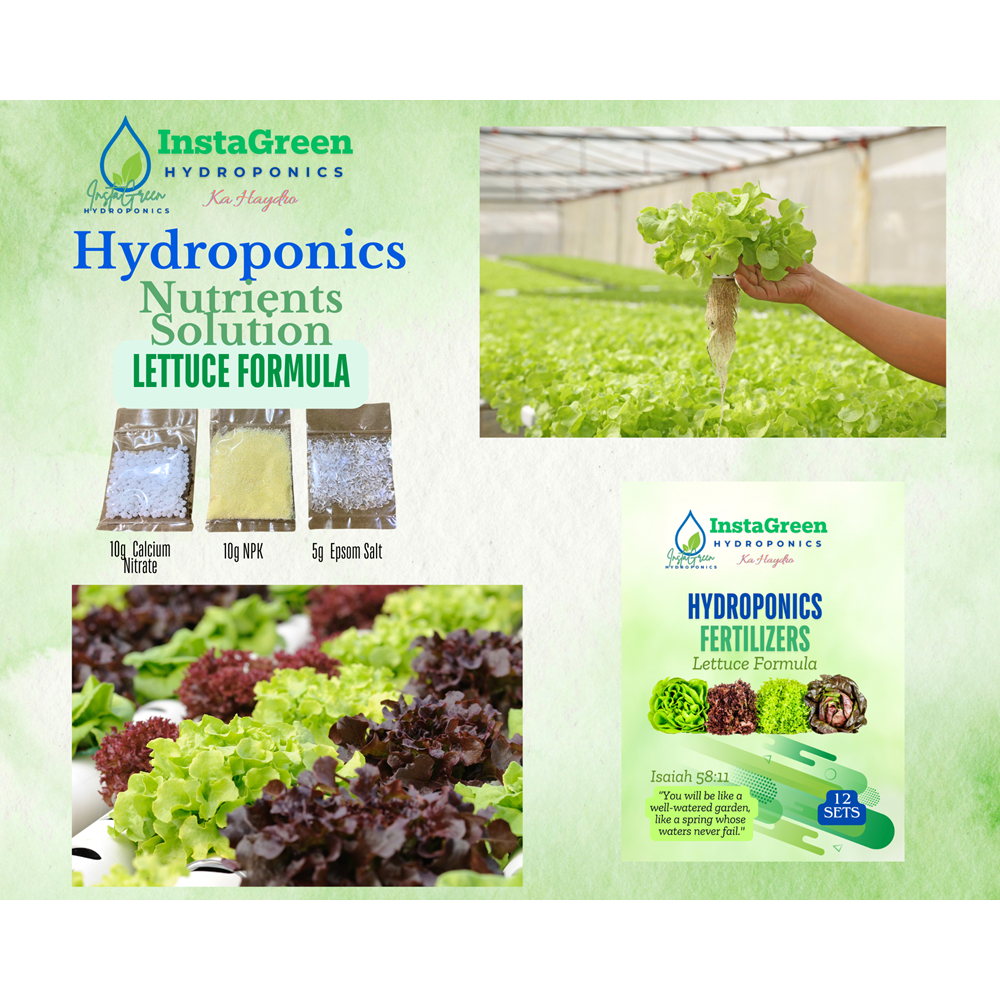 Hydroponics Nutrients Solution for Lettuce, Tomato, Strawberry 12 sets ...