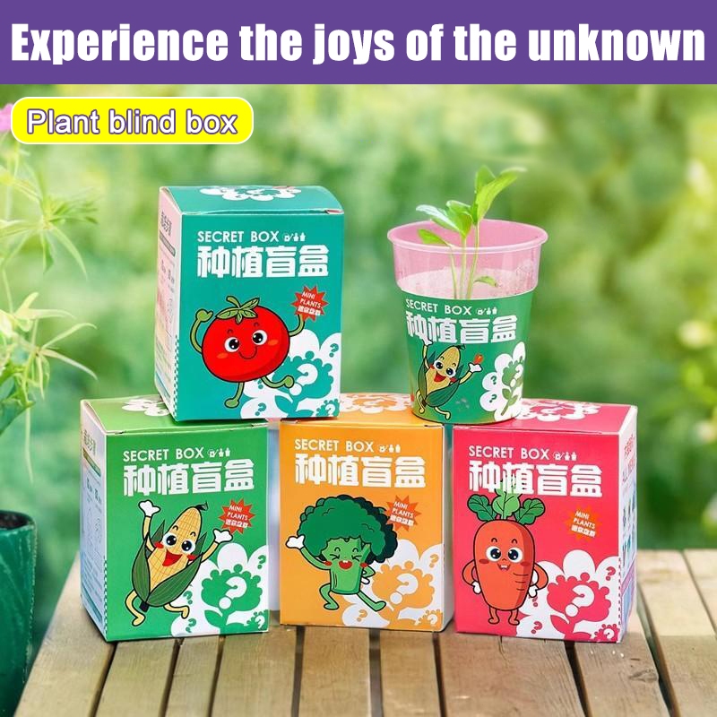 plant Blind Box Observation Toy Handmade Mini Birthday present ...