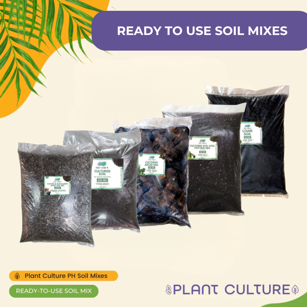 Ready To Use Premium Soil Mixes for Plants | CNS, Aroids, Flowers ...