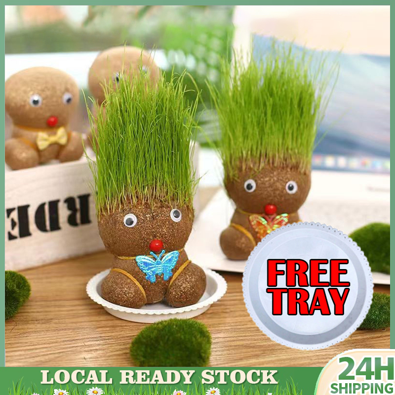 Grass Head Plant Set With Tray Cute Children Growing Grass Doll Toys ...
