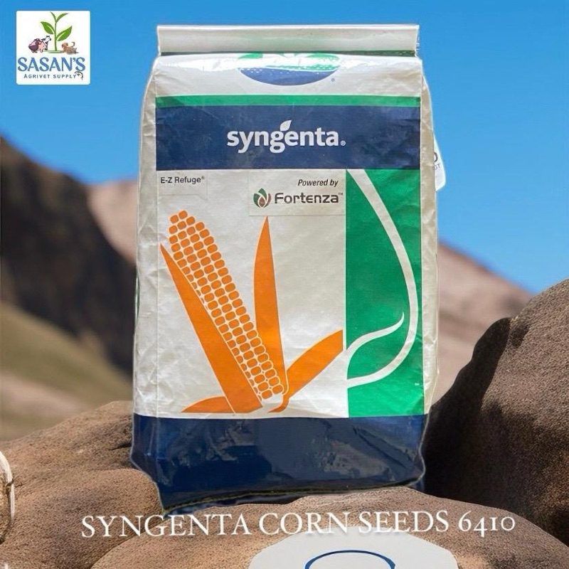 SYNGENTA NK6130 and NK6410 BGT/ VIP CORN SEEDS 1 bag | Shopee Philippines