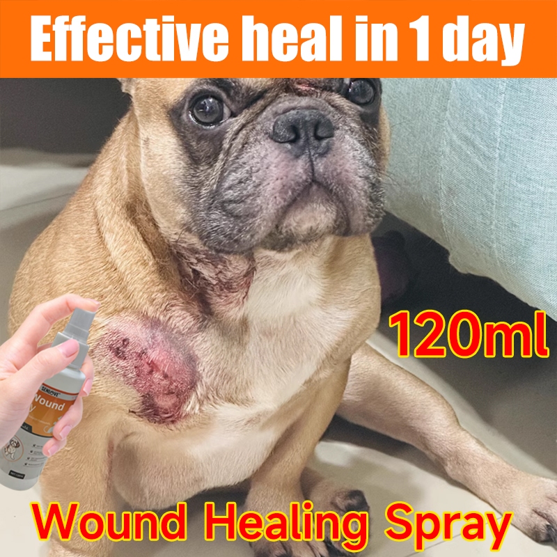 SENLOVE Dog Wound Treatment Spray Pet Fungus Treatment Spray Pet Fight ...