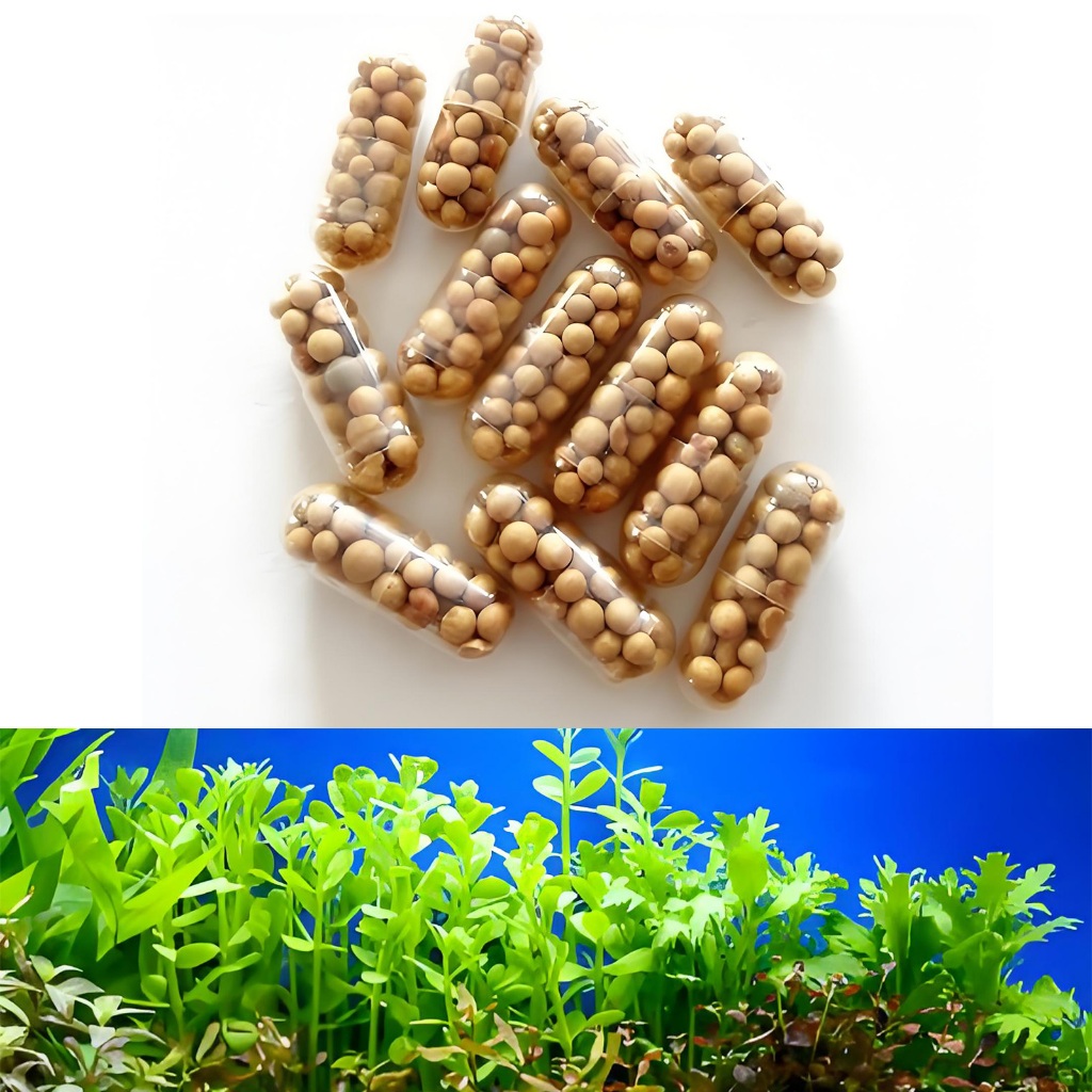 Aquarium Root tabs for Aquatic plant aqua Water plant fertilizer ...