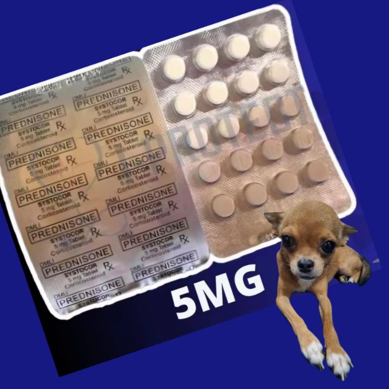 Pet medicine 5mg sold by five tablets for cats and dogs | Shopee ...