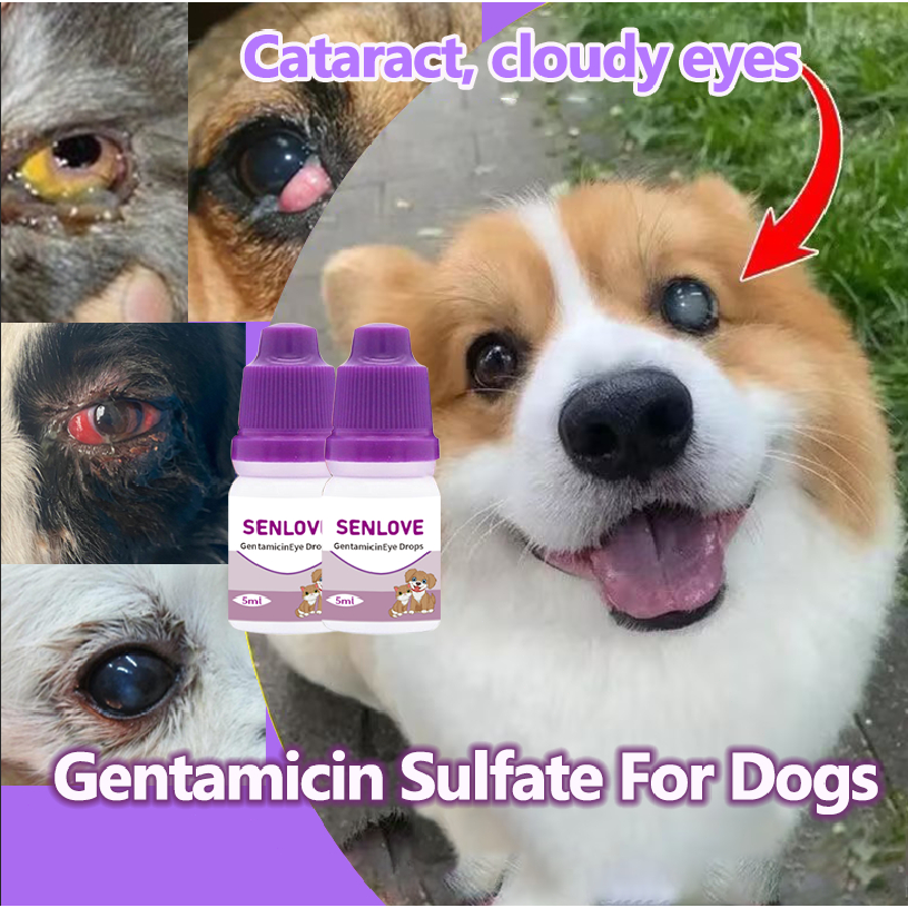 Gentamicin Sulfate For Dogs Eyes Drops For Dogs Cats Puppies Infection ...
