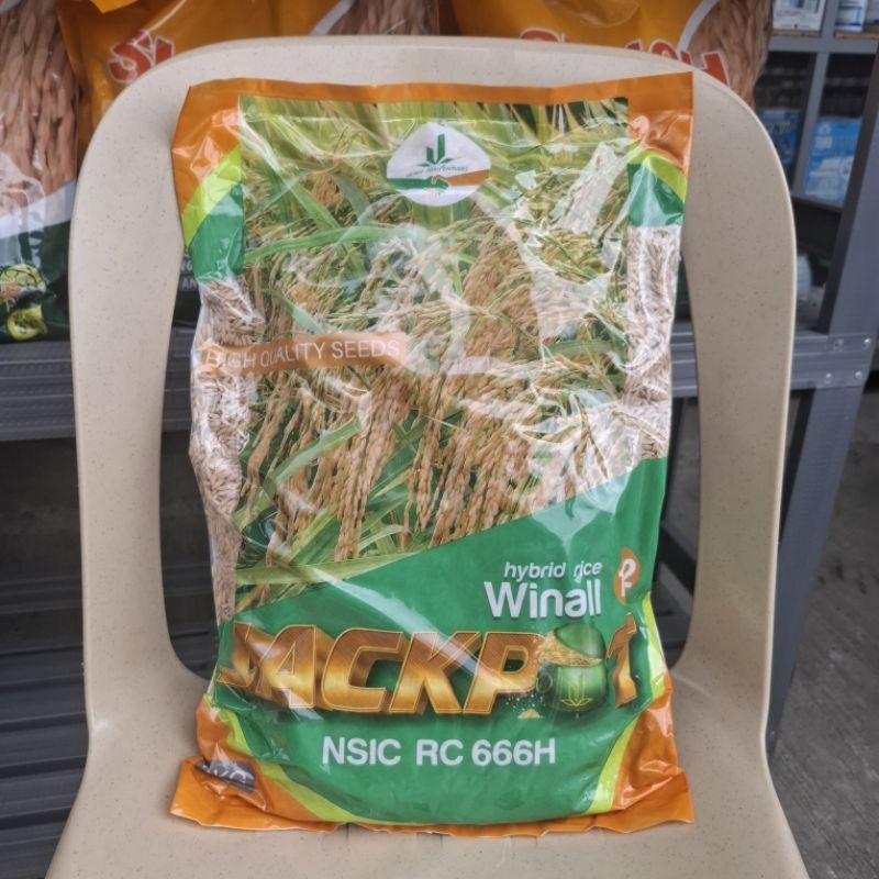 JACKPOT 102 Hybrid Rice Seeds 3kls by Leads Agri | Shopee Philippines