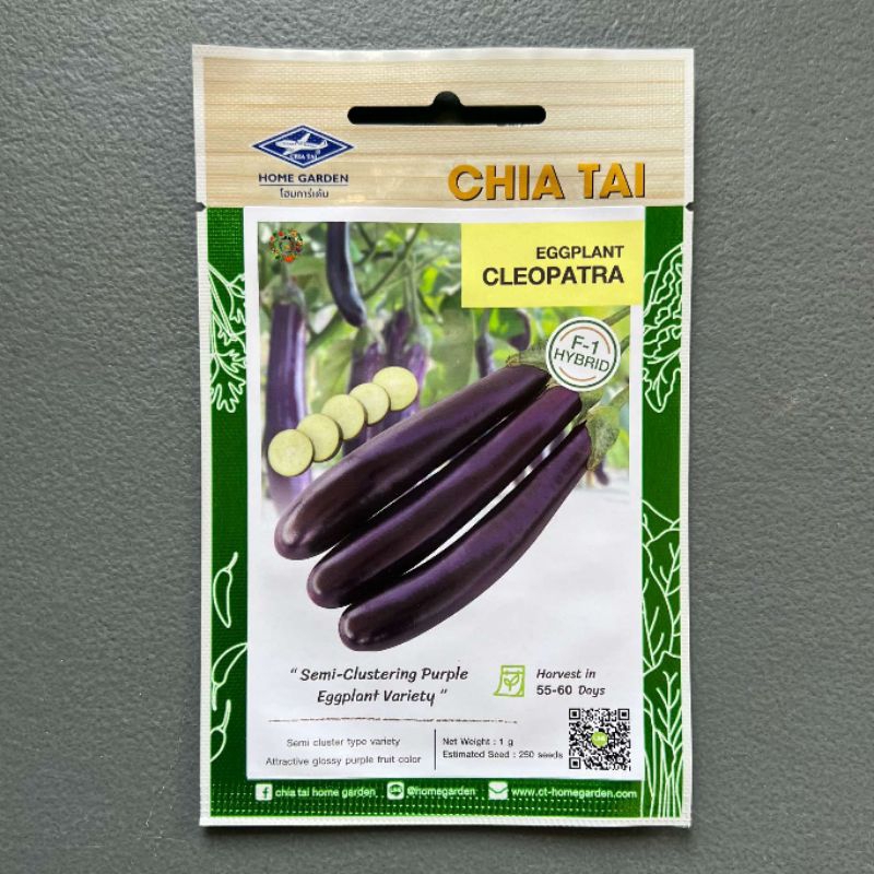 CLEOPATRA F1 CHIA TAI TALONG HYBRID EGGPLANT VEGETABLE SEEDS SMALL PACK ...