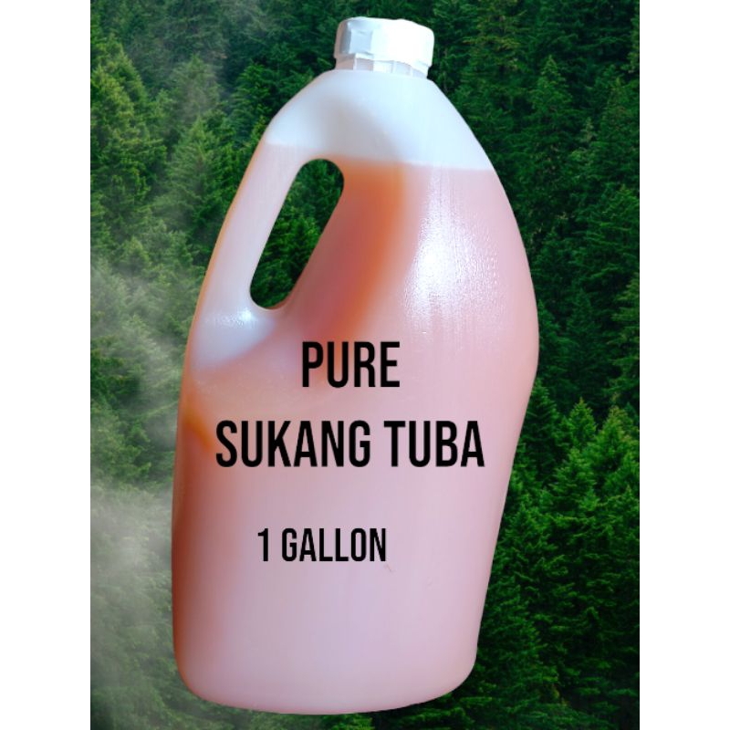 Pure Sukang Tuba / organic vinegar 1 GALLON / sukang bisaya | Shopee ...