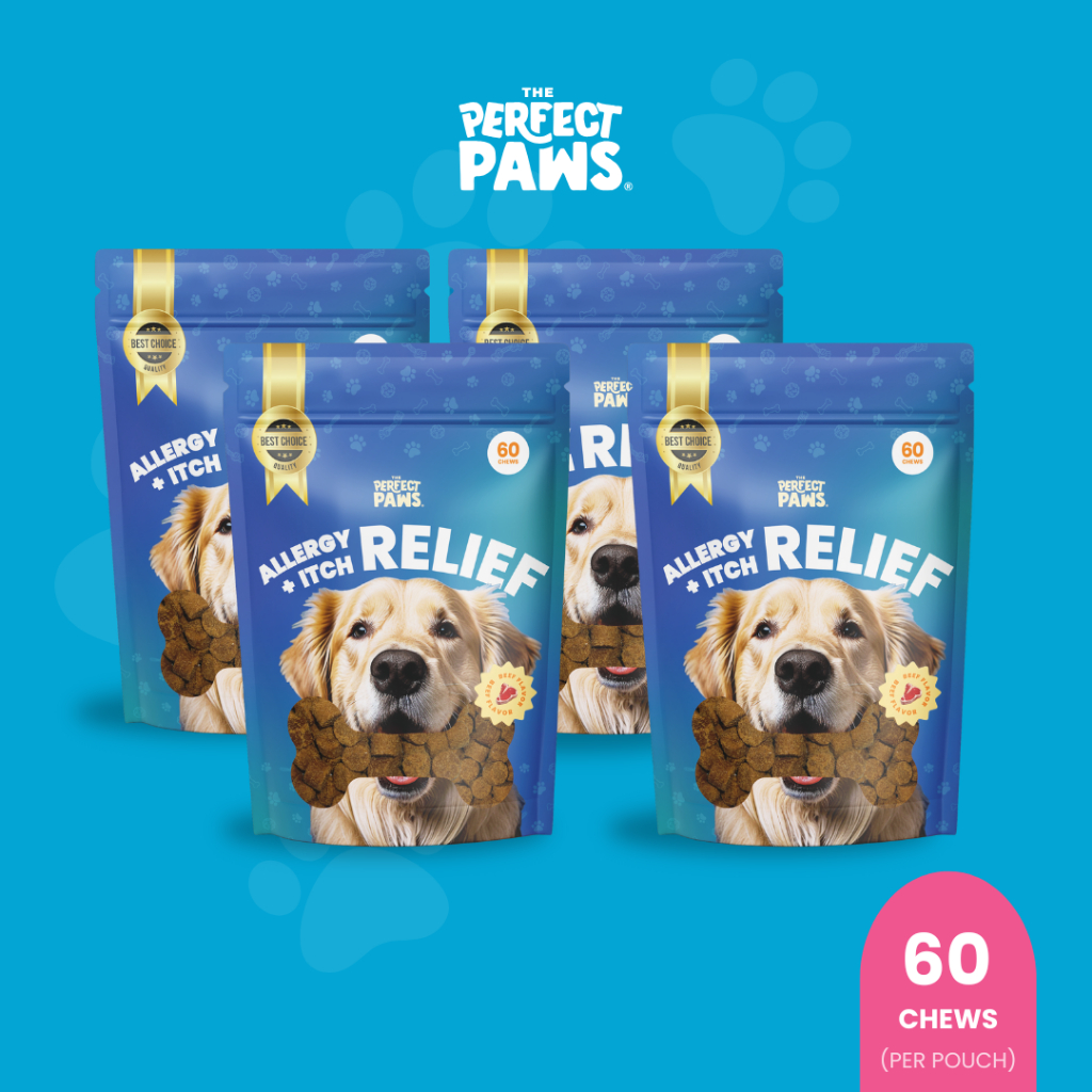 The Perfect Paws 60 Chews Allergy + Itch Relief Quad [Bundle of 4 ...
