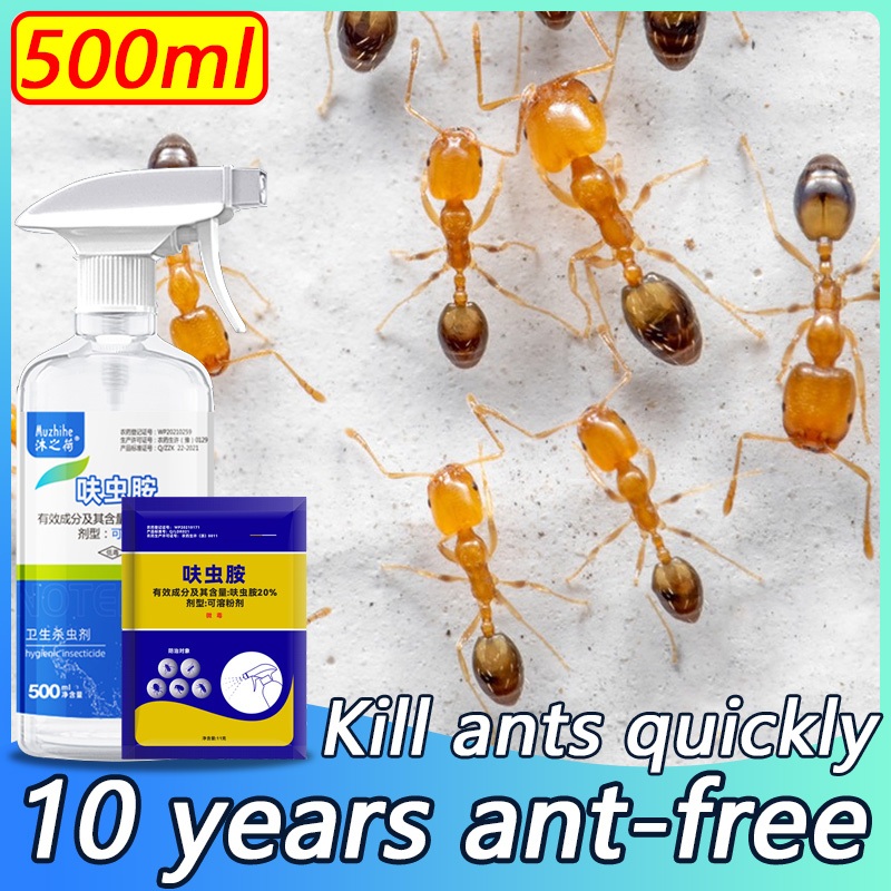 Home Ant killer ant killer spray 500ml Colorless and odorless Imported ...