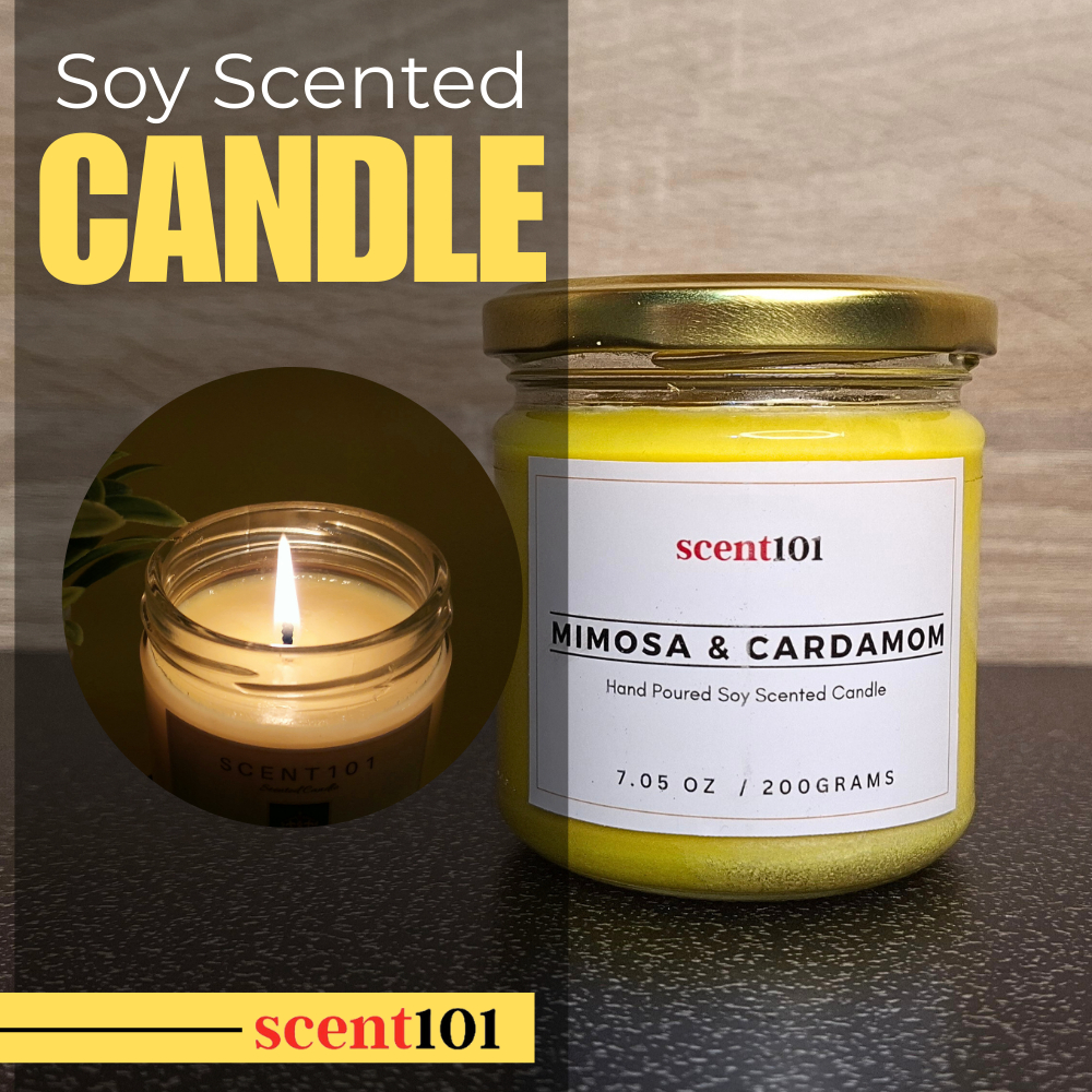Scent 101 MIMOSA & CARDAMOM Premium Quality Soy Wax Scented Candle ...