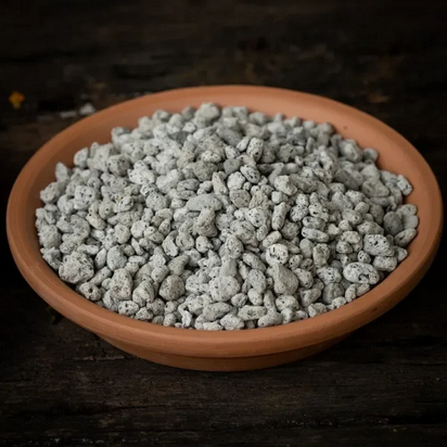 1 KG Pumice Corn Size - Ready to Use | Shopee Philippines