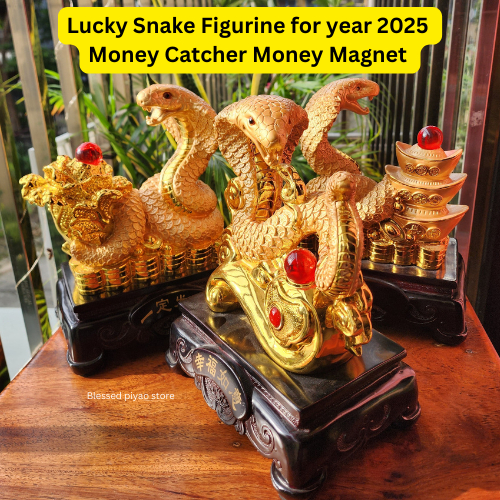Large Size Year of the Snake 2025 Money Catcher Blessed Wealth ...
