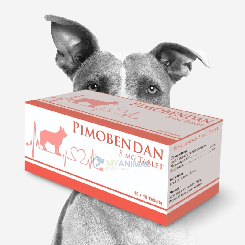 Pimobendan 1.25 mg and 5 mg (10 tablets) | Shopee Philippines