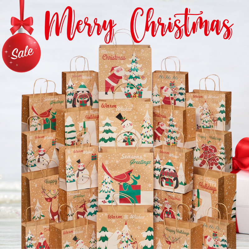 Christmas Paperbag Random Designs Perfect for Goody Gift Bags and Party ...