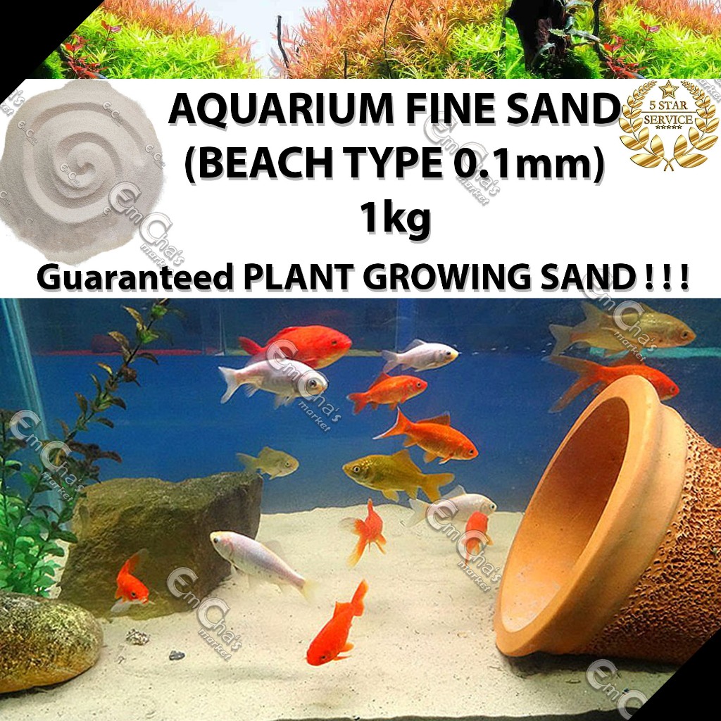 JTC 1kg Very Fine Aquarium Sand (Beach Sand Type) (bdg)(plnt)Aquarium ...