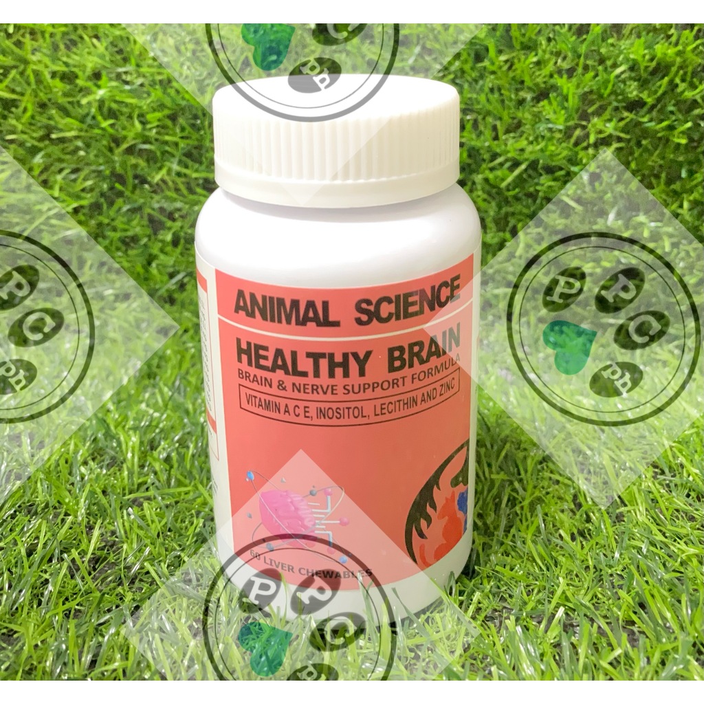 Animal Science Healthy Brain 60 Chewable Tabs (Brain and Nerve Support ...