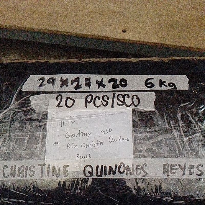 BOOK FOR RIA CHRISTINE QUINONES REYES ( GARTNIX ) | Shopee Philippines