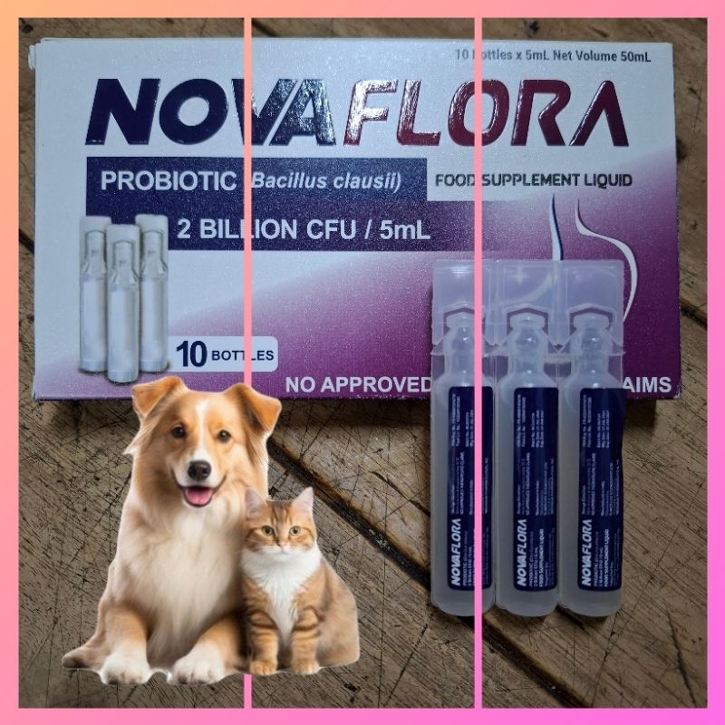 Novaflora probiotics (Bacillus Clausii) for pets 10bottles x 5ml ...