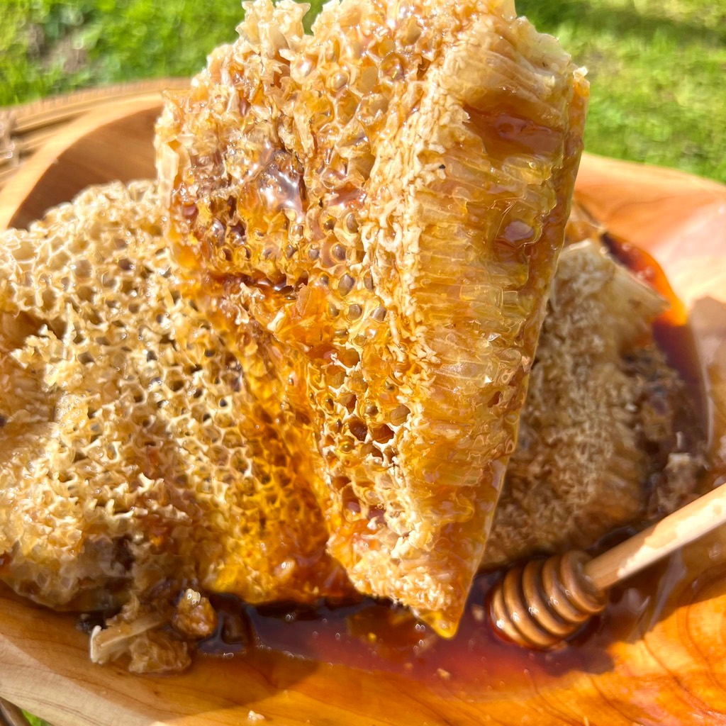 Pure Wild Honey - Dugos (100% Authentic) 200 ML | Shopee Philippines