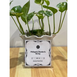 Shop banduria for Sale on Shopee Philippines