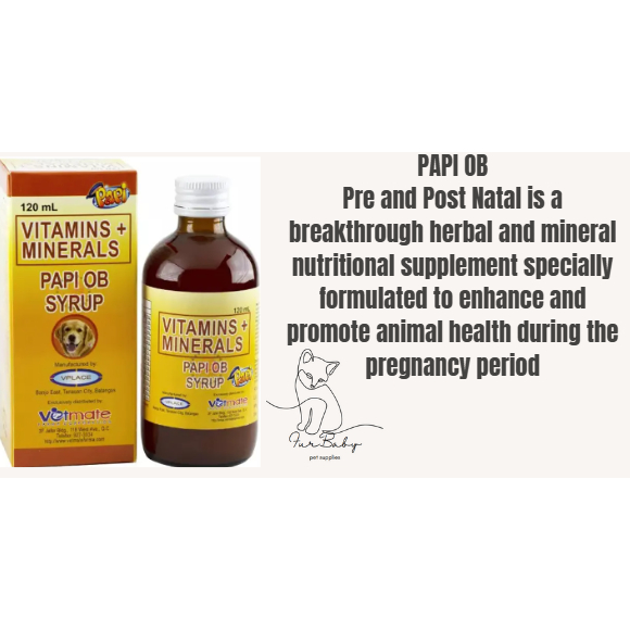 PAPI OB SYRUP VITAMINS + MINERALS Pre and Post Natal Supplements for ...