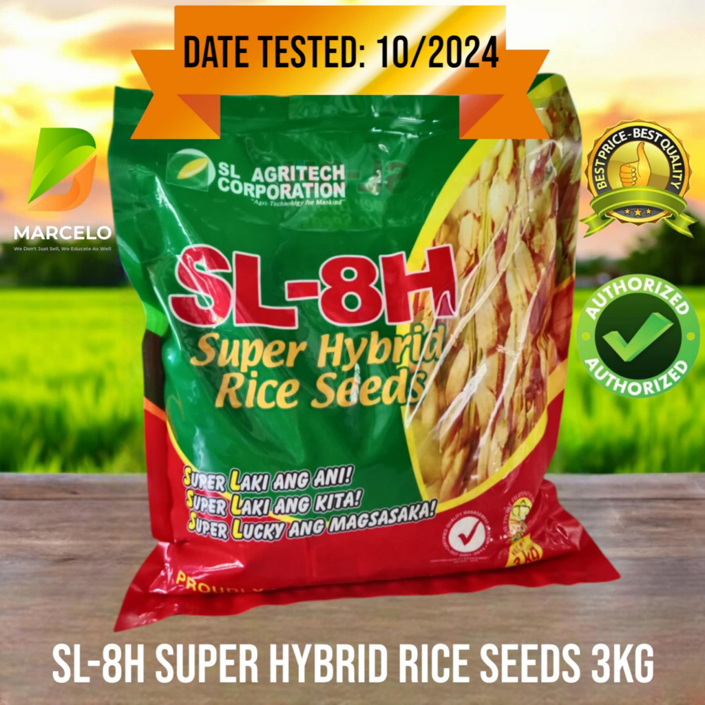 HIGH YIELD SUPER HYBRID RICE SEEDS SL8H / SL19H / SL20H / SL39H 3KG-By ...