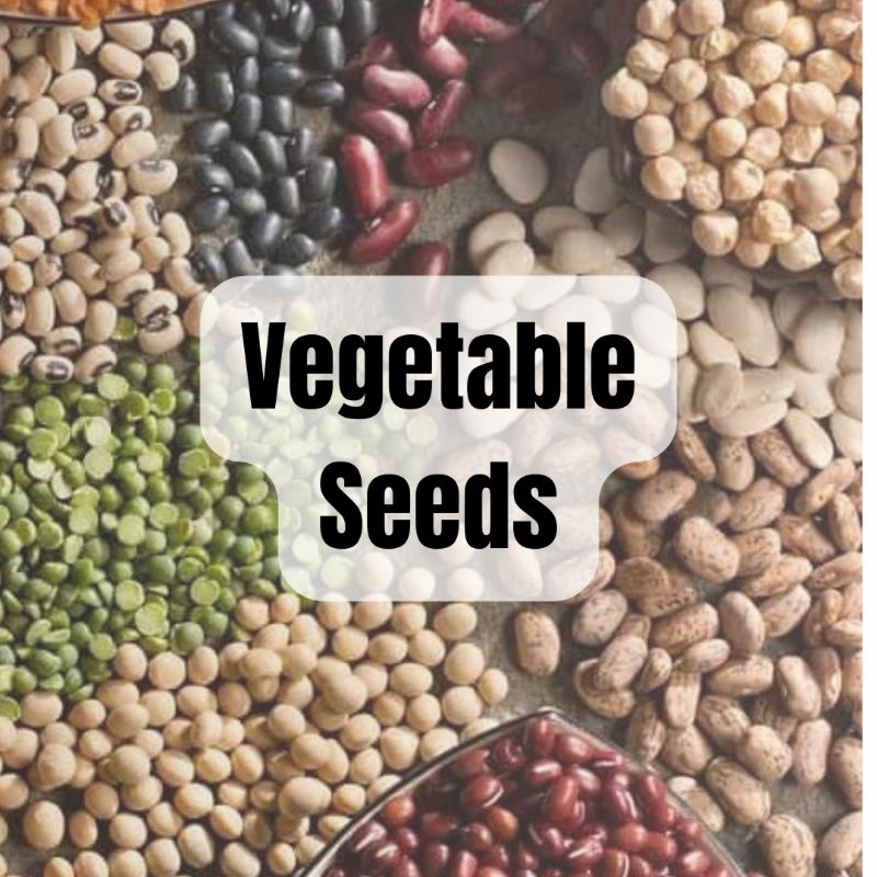 VEGETABLE SEEDS/ BUTO NG GULAY | Shopee Philippines