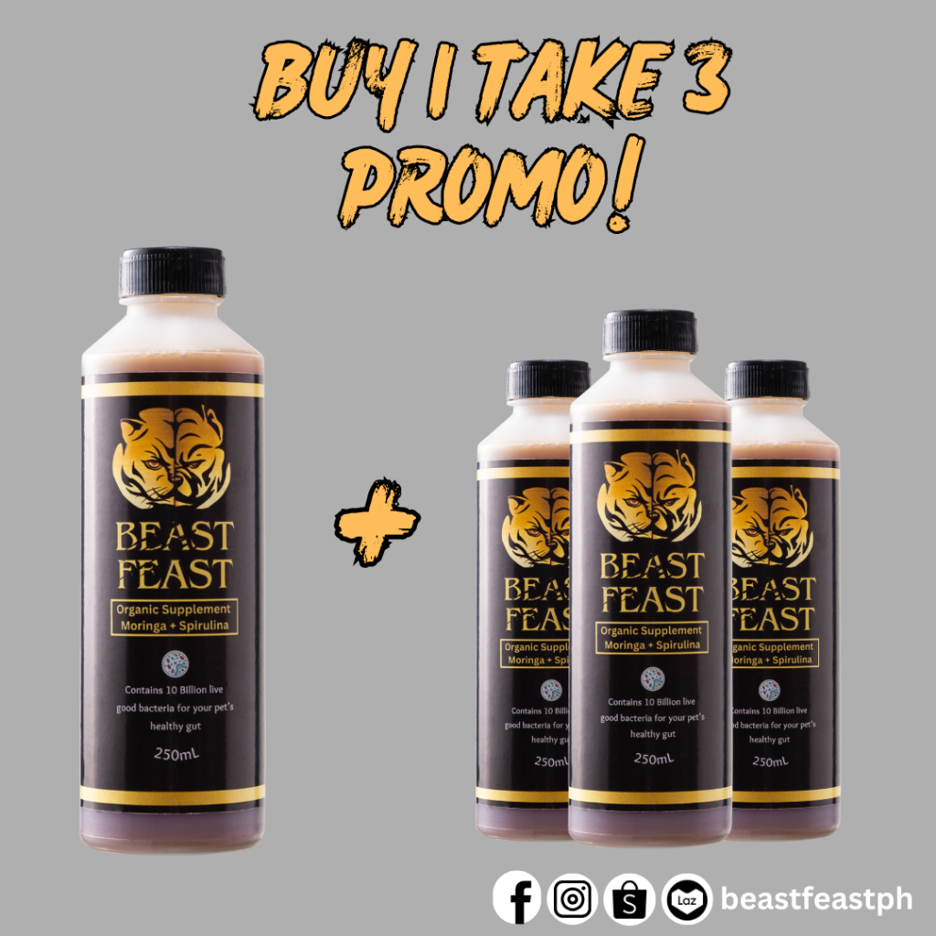 [4 PCS] Beast Feast Probiotics + Prebiotics Fibers Organic Supplement ...