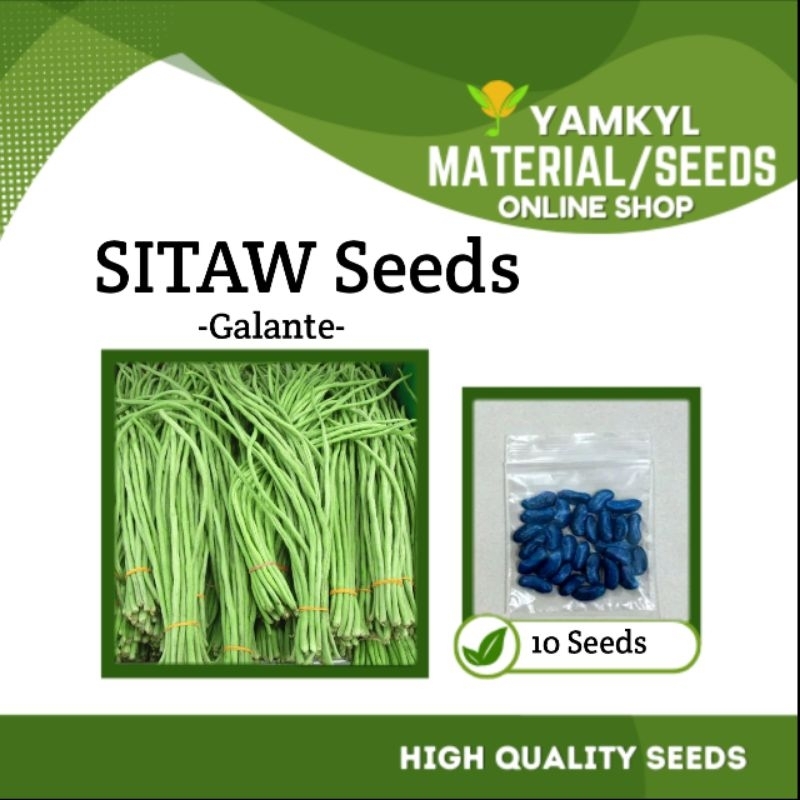 SITAW Seeds (Galante Variety) | Shopee Philippines