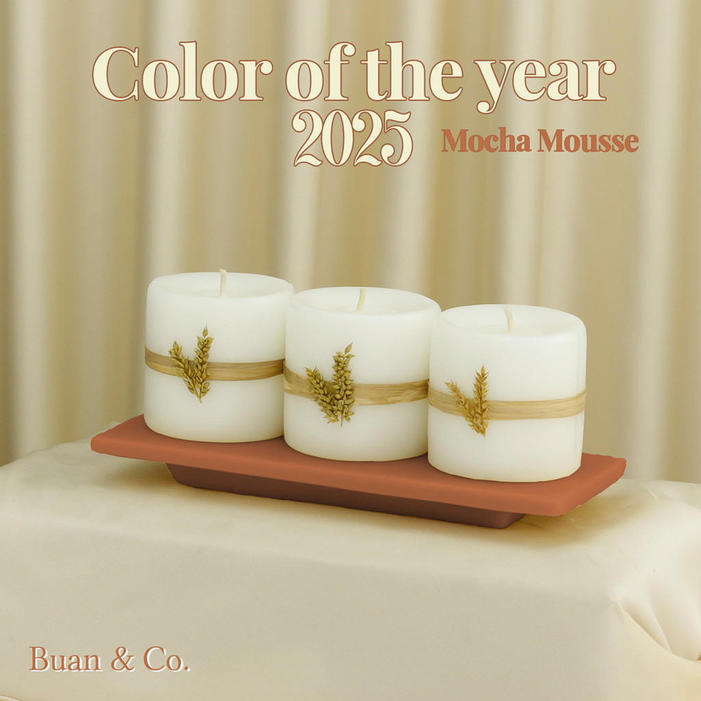 Buan & co. 2025 Color of the Year Mocha Mossue & Light Wood Aesthetic ...