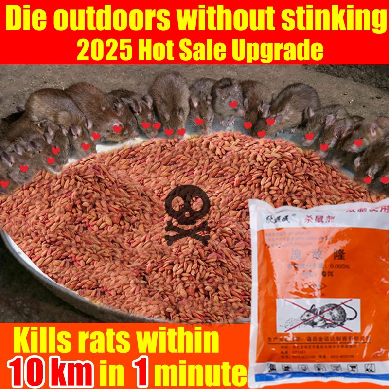 Kill all rats in 1 minutes rat killer rat repellant rat poison killer ...