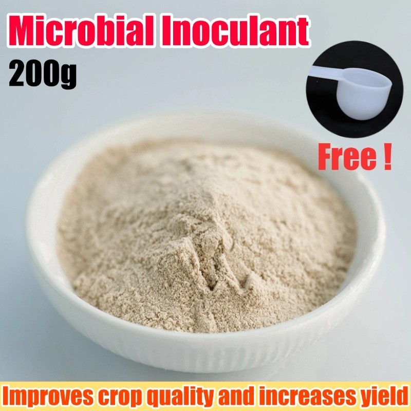 Microbial Inoculant Bacillus amyloliquefaciens for Plant (Individually ...