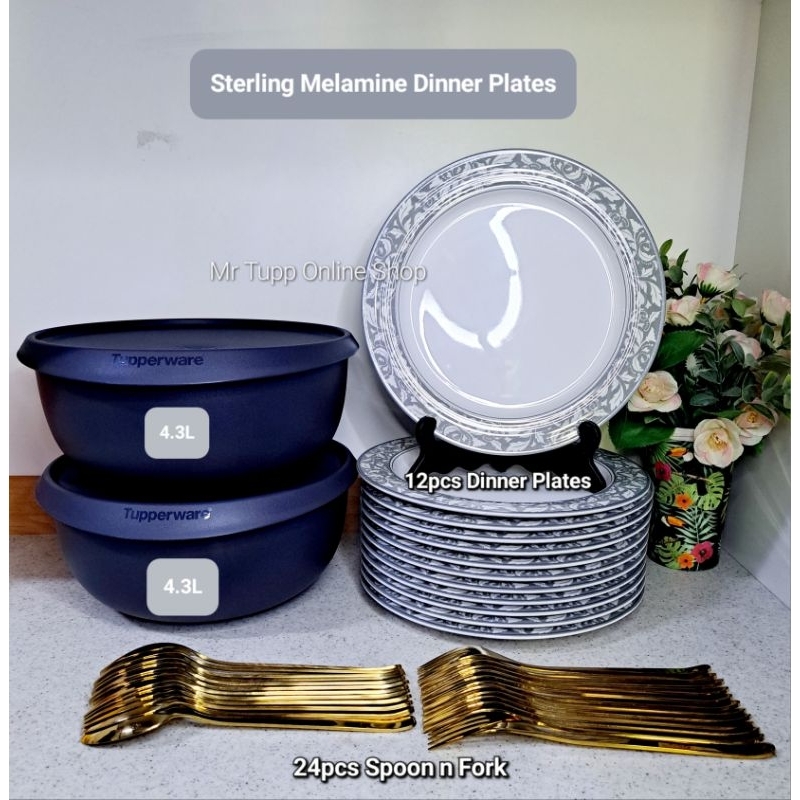 Tupperware Dinner Plates Set (Bundle Offer) | Shopee Philippines