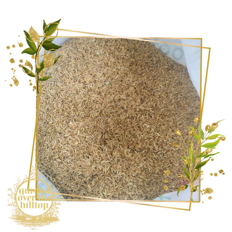 250g/500g Organic Fresh Rice Hull Ipa ng Palay hydrophonic gardening ...