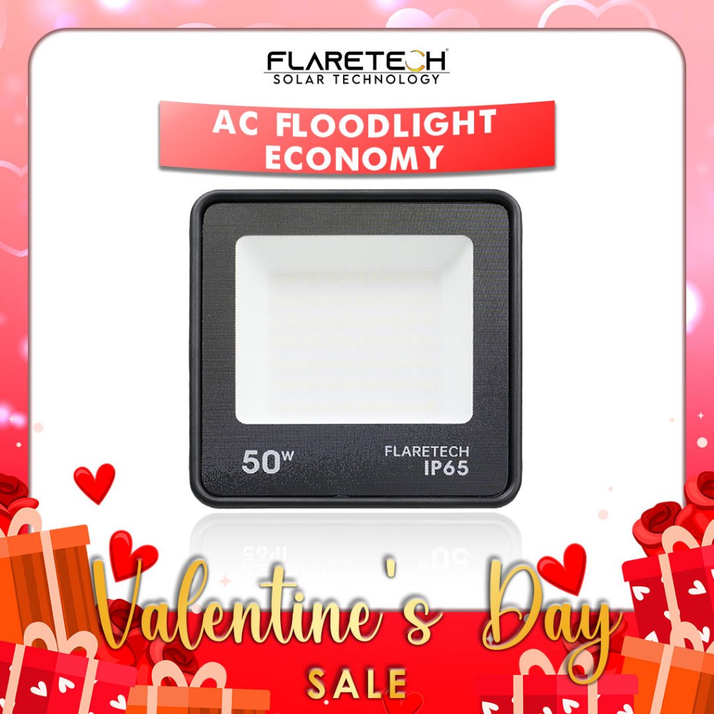 Flaretech AC Flood Light EC 200W | Shopee Philippines
