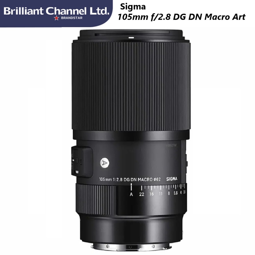 Sigma 105mm f/2.8 DG DN Macro Art Lens (Sony E) | Shopee Philippines
