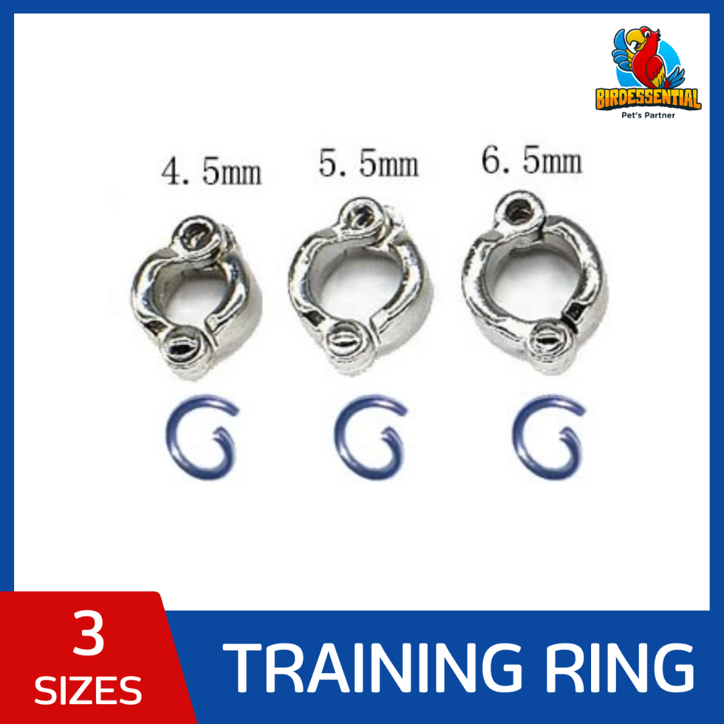 Training Ring for Birds African lovebirds, Cockatiel and Sun Conures ...