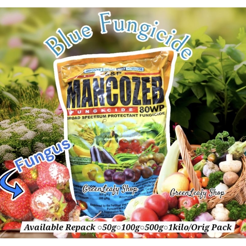MANCOZEB FUNGICIDE 80WP BLUE POWDER FUNGICIDE Broad Spectrum Protectant ...