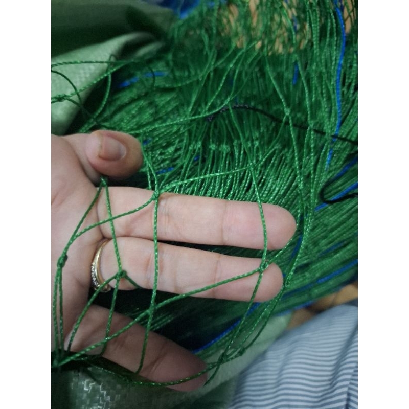 RANGE NET 2INCH X 100MTRS | Shopee Philippines