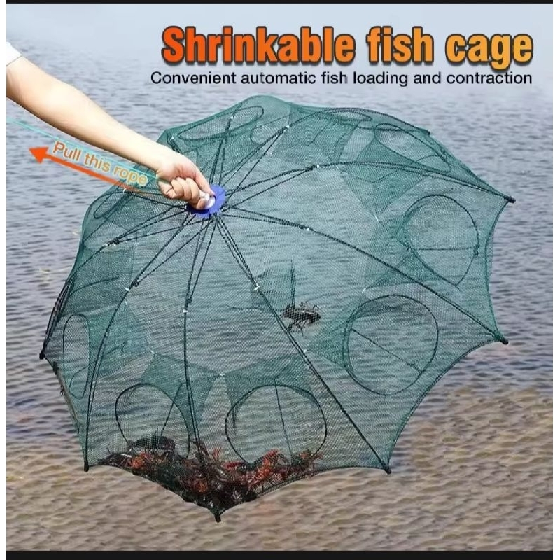 Folding umbrella fish net shrimp Cage,Crab, Fish Net | Shopee Philippines