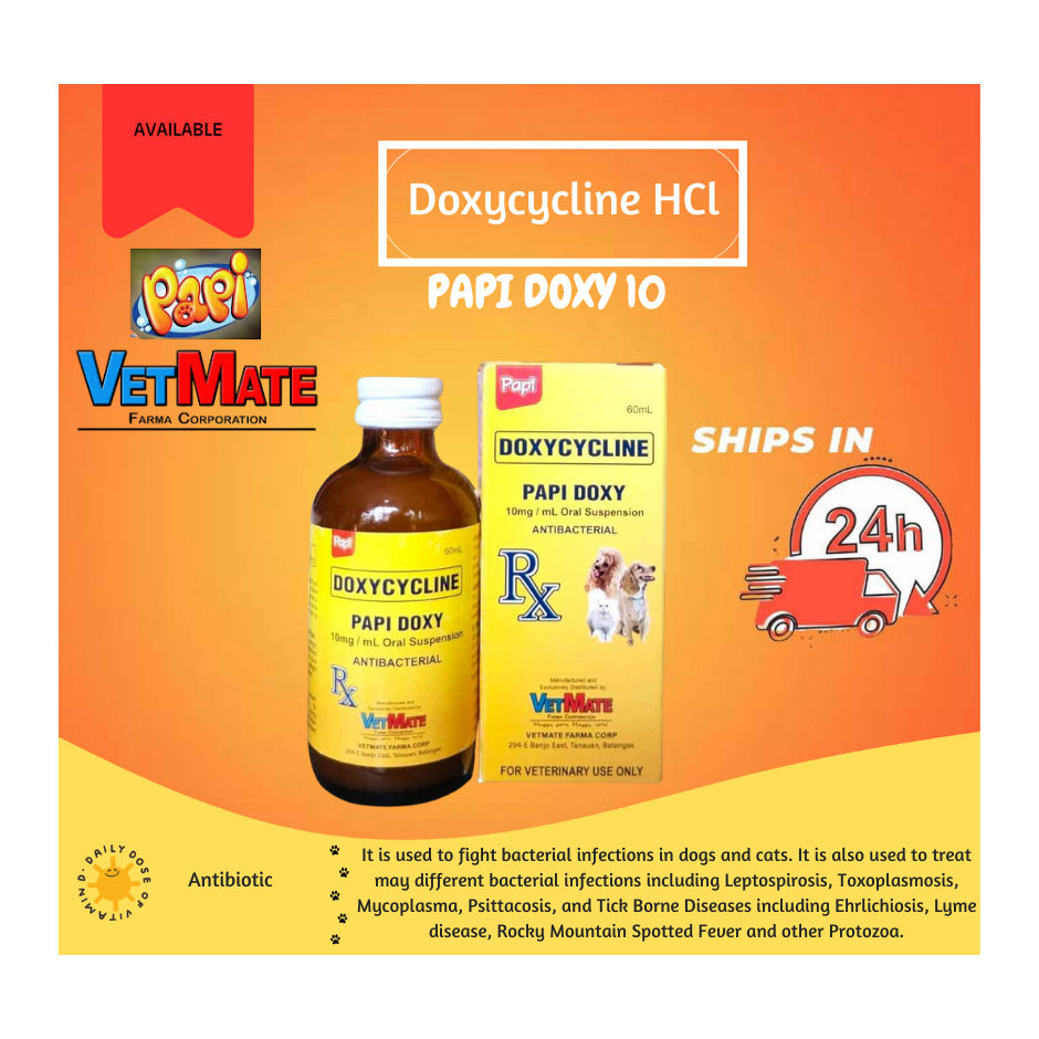 Papi PapiDoxy 10mg and 20mg for Pets | Pet Medicine | Shopee Philippines