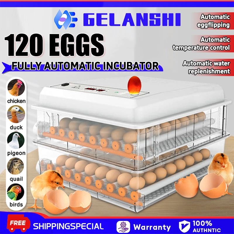120 Eggs Incubator 220V/12V Dual Power Digital Fully Automatic Constant ...