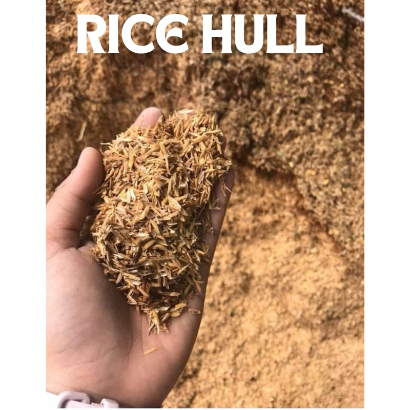 Rice hull/ Ipa ng palay (1000gms) | Shopee Philippines