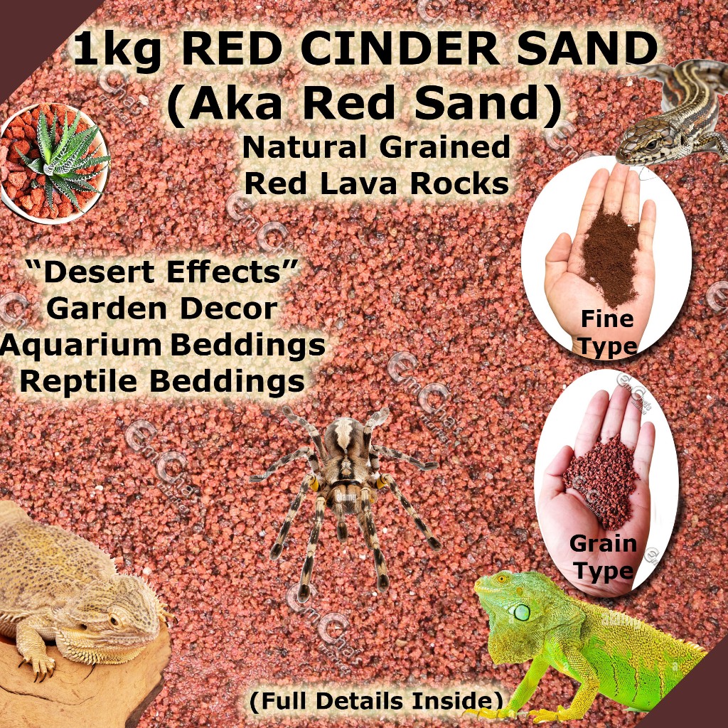 1kg JTC Red Cinder Sand LAVA SAND (Crushed Lava Rocks)(bdg)Red Volcanic ...