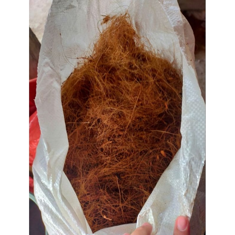 1 (one) sack/ 6 kilograms Organic Coconut Fiber/ Coco Coir | Shopee ...