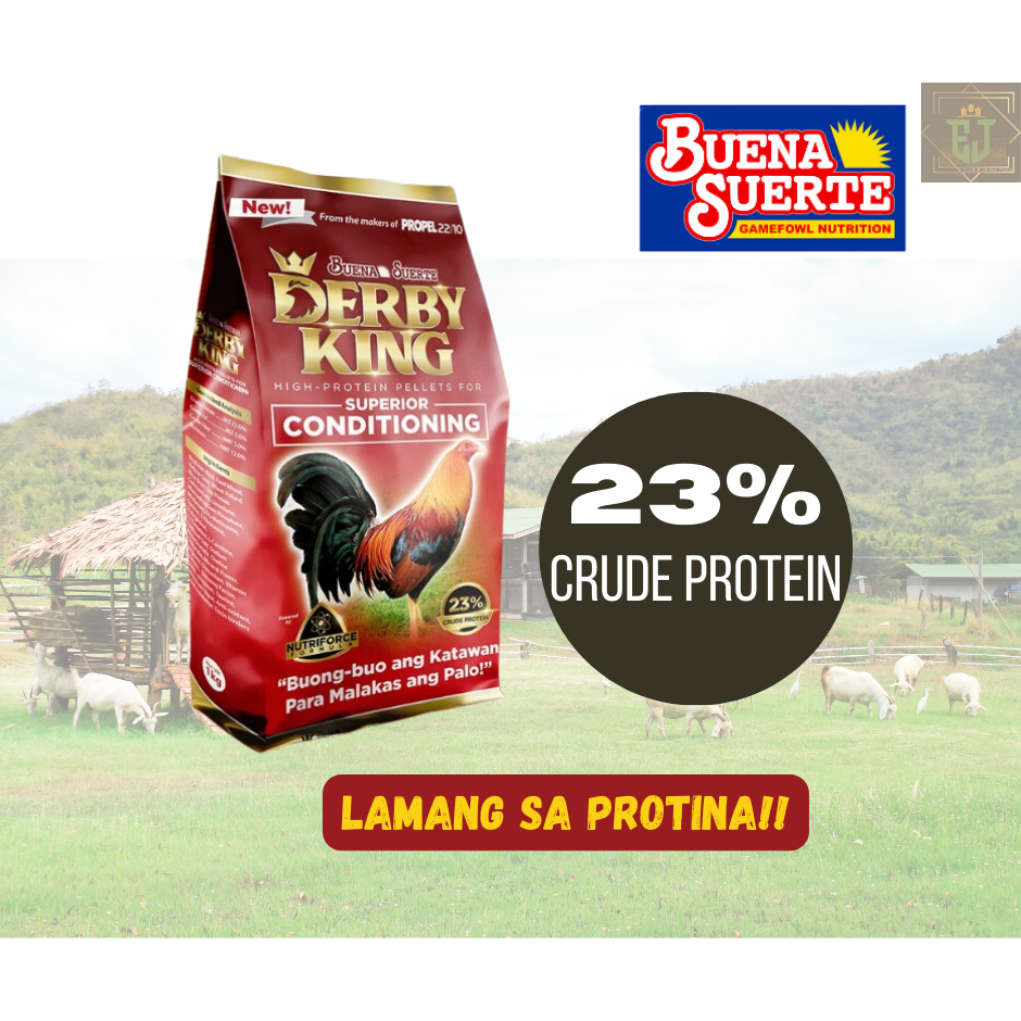 Derby King High Protein Pellets for Superior Conditioning 1KG | Shopee ...