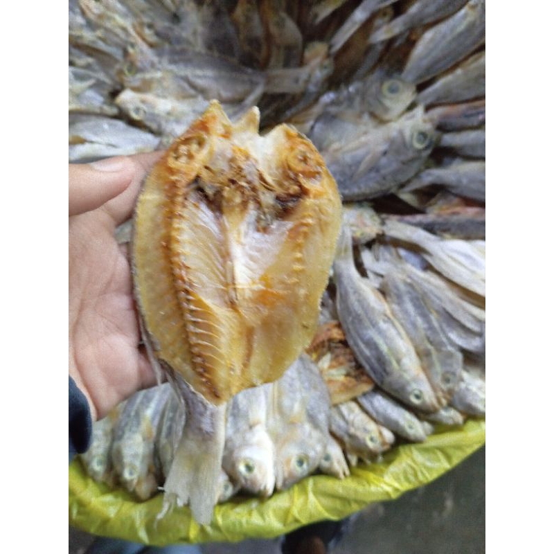 bulad/tuyo kutambak small size 300 grams per pack | Shopee Philippines