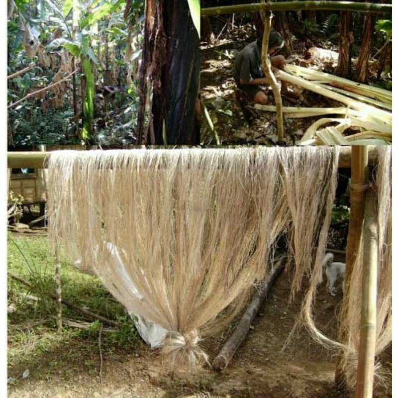 500G ABACA FIBER MANILA HEMP FROM BICOL | Shopee Philippines